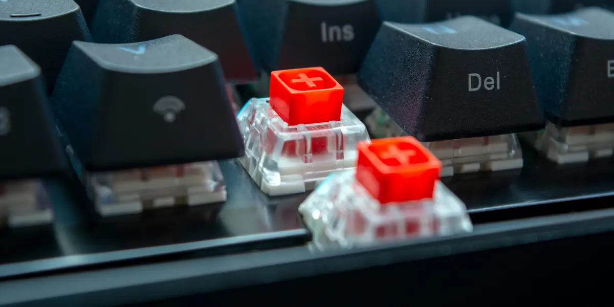 Mechanical Keyboards – What Makes Them Click?