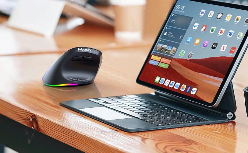 Explorer les différences entre les souris droitières et gauchers