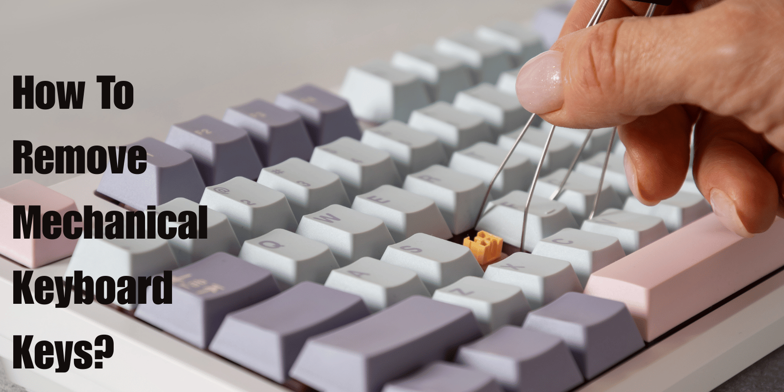 Mechanical Keyboard Vs. Regular Keyboard: Which One to Buy?